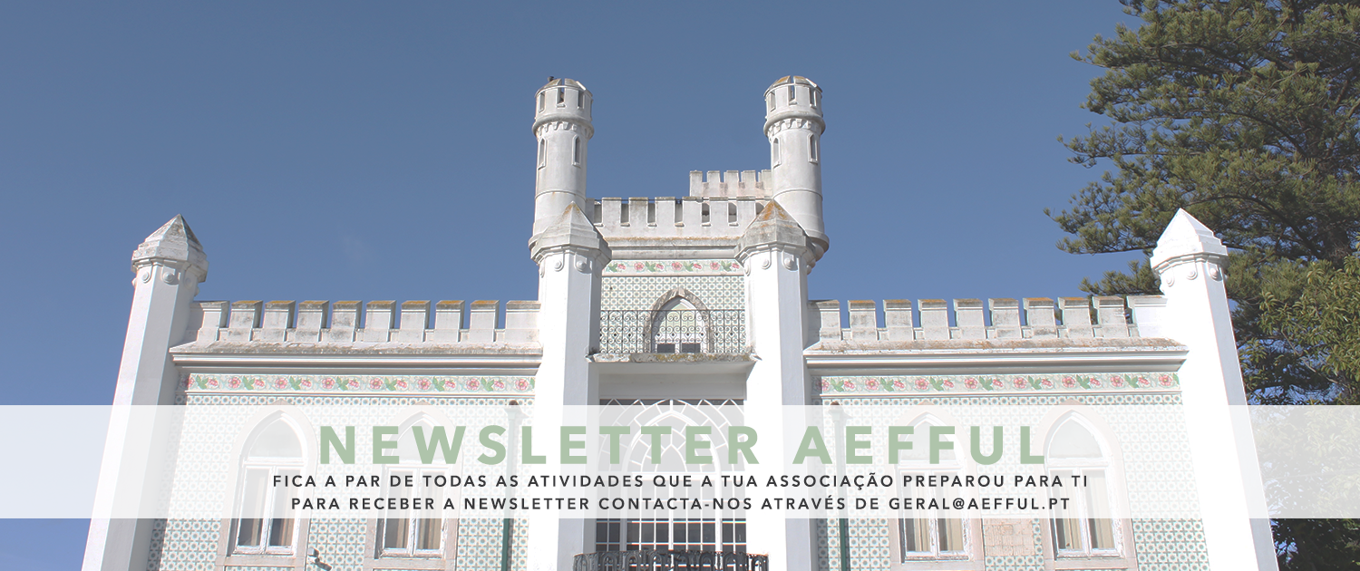 newsletter – AEFFUL